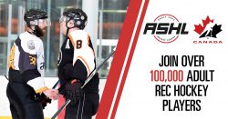 Adult Safe Hockey League