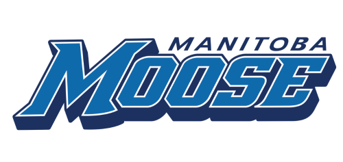 Adult Safe Hockey League